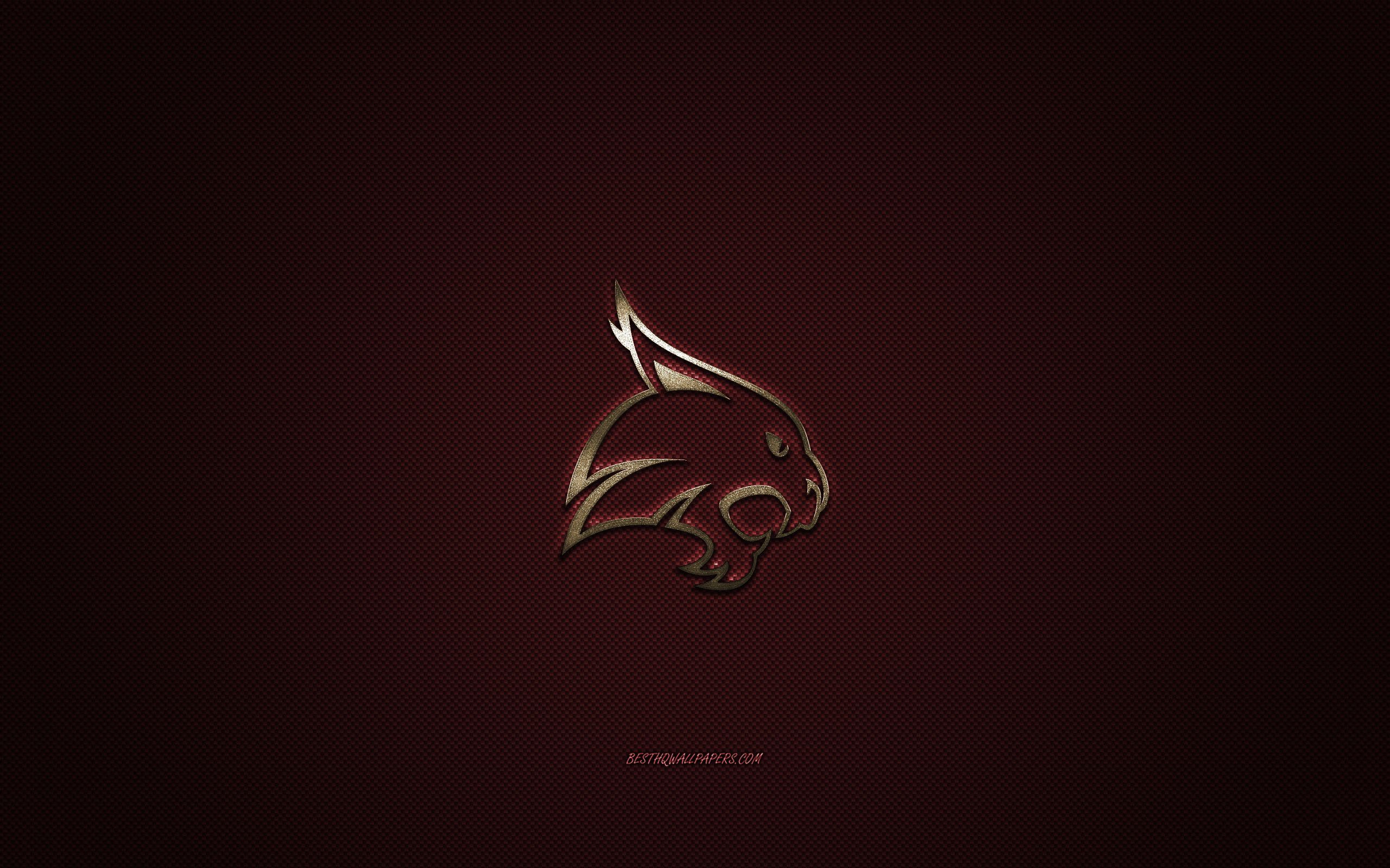 Texas State Wallpapers - Top Free Texas State Backgrounds - WallpaperAccess