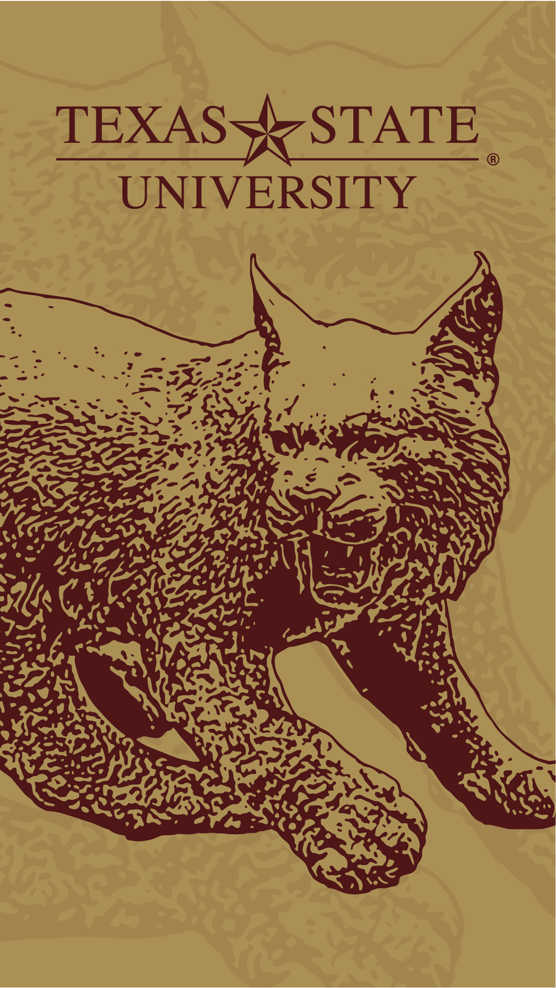 Texas State Wallpapers - Top Free Texas State Backgrounds - WallpaperAccess