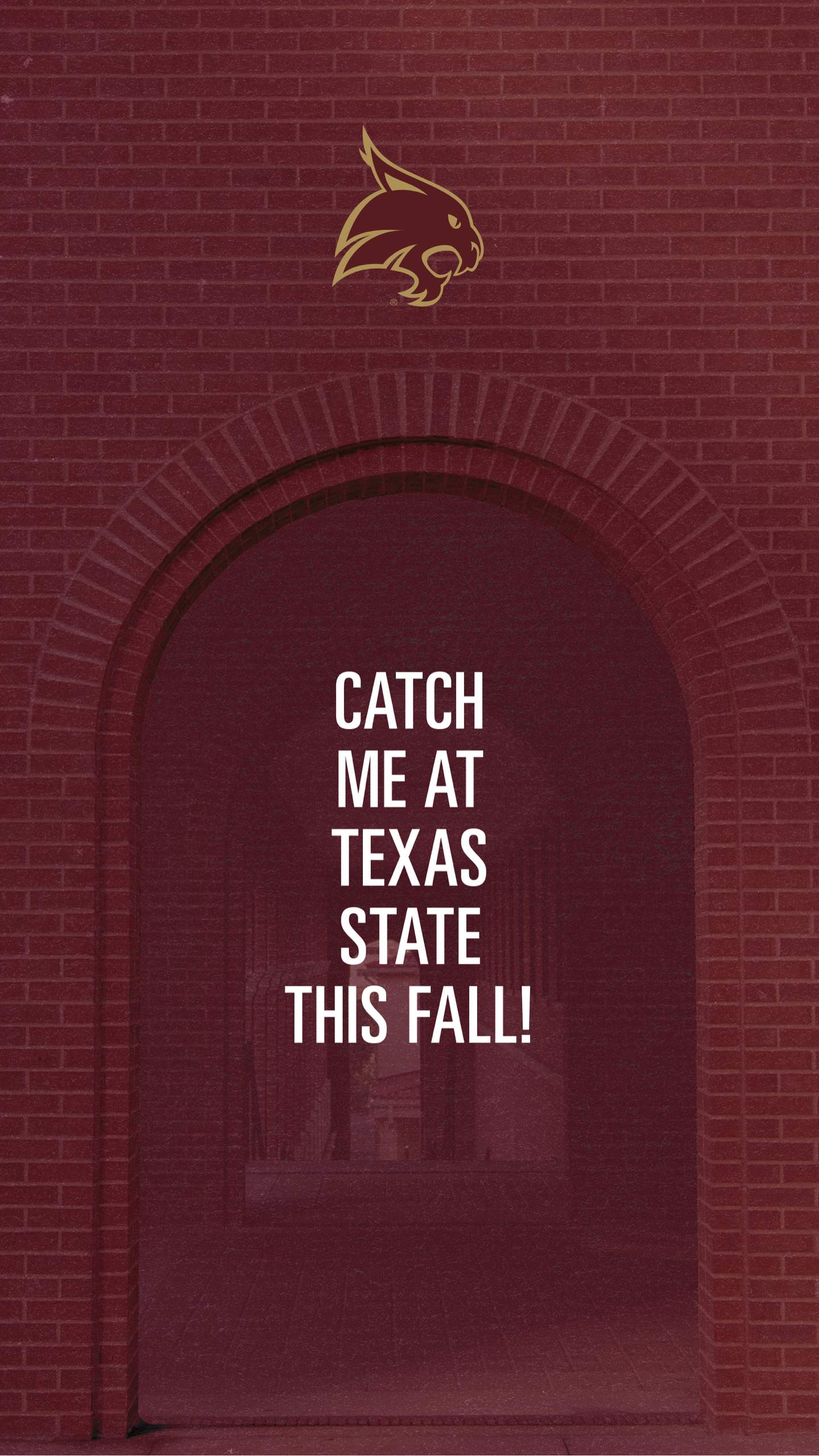 Texas State Wallpapers - Top Free Texas State Backgrounds - WallpaperAccess