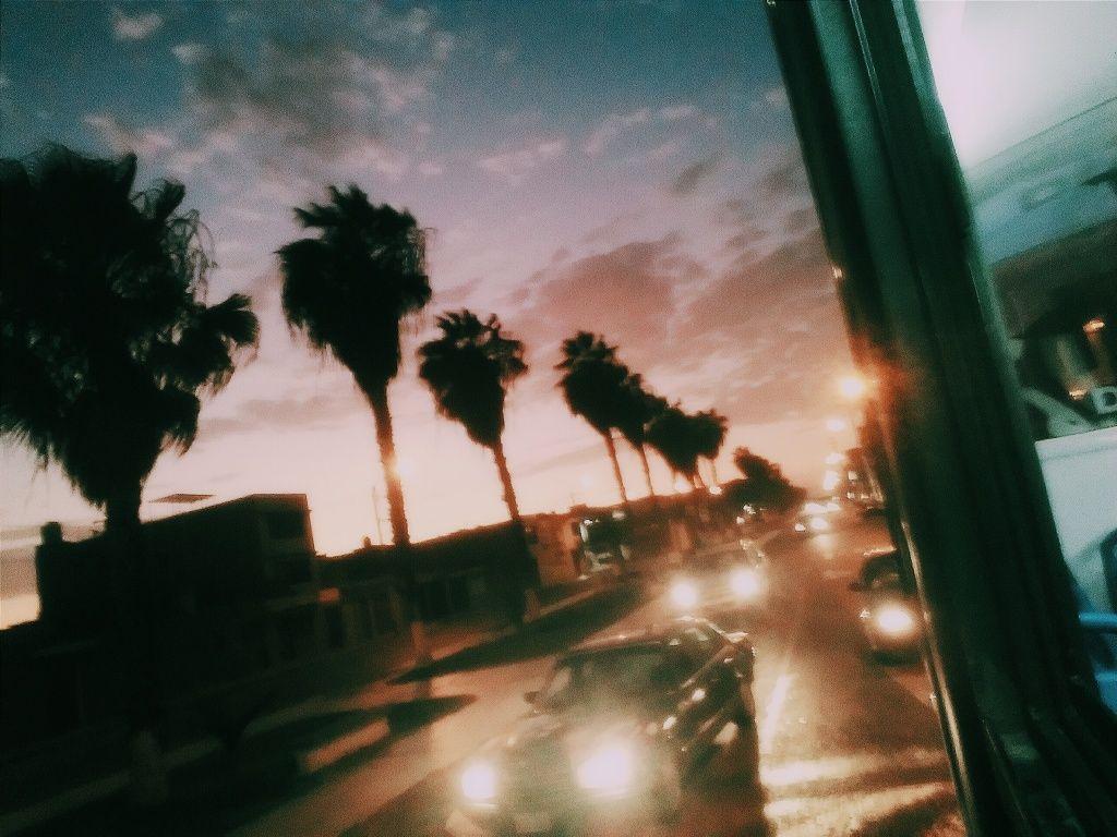 VSCO Palm Tree Wallpapers - Top Free VSCO Palm Tree Backgrounds ...