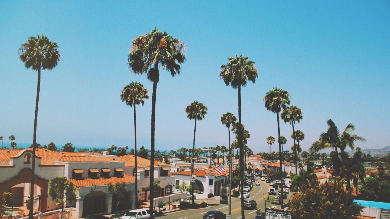 VSCO Palm Tree Wallpapers - Top Free VSCO Palm Tree Backgrounds ...