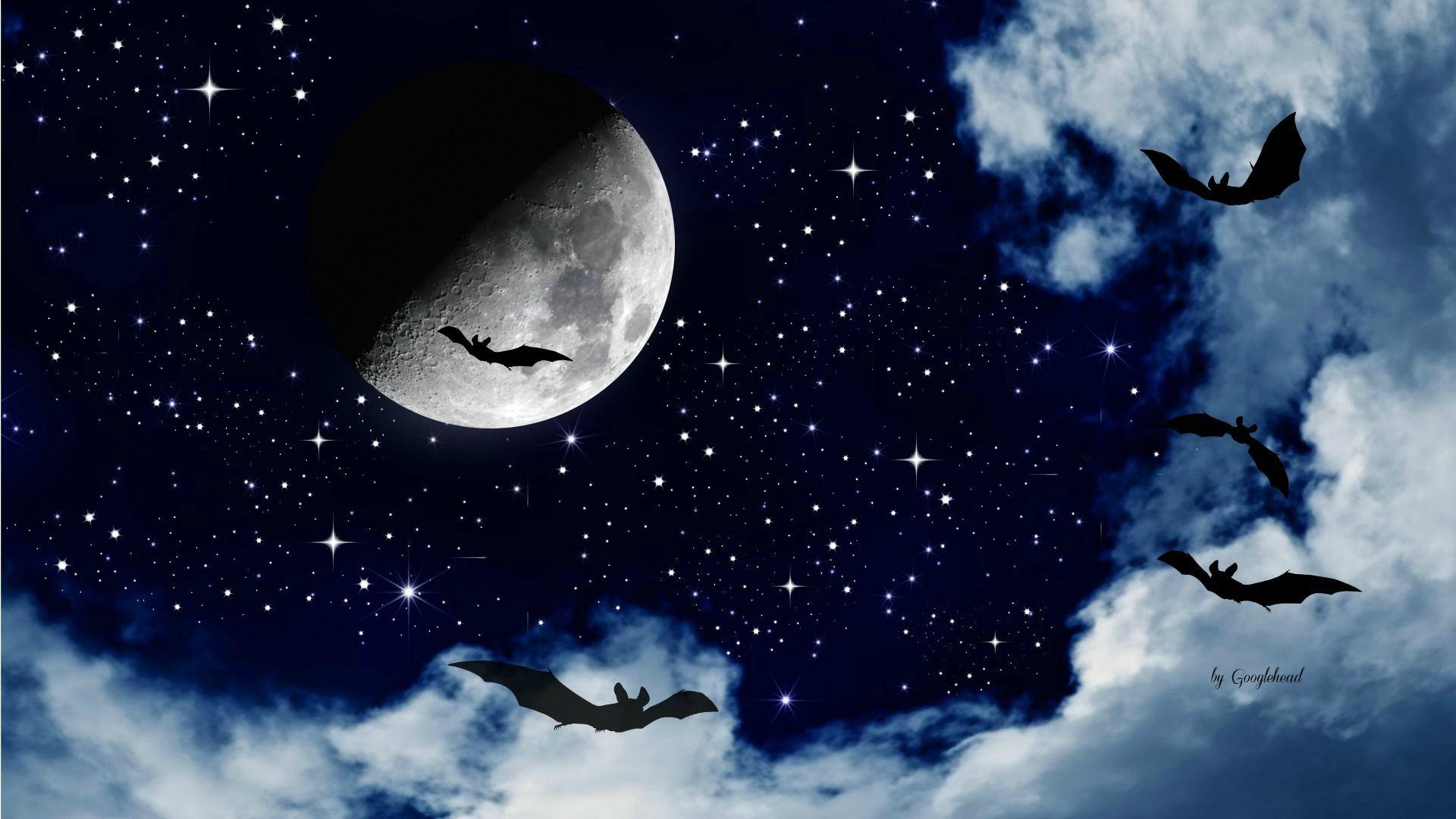 Halloween Night Wallpapers - Top Free Halloween Night Backgrounds ...