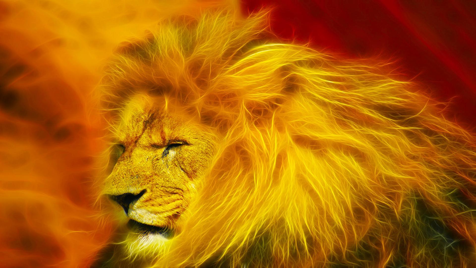 Colorful Lion Wallpapers - Top Free Colorful Lion Backgrounds ...
