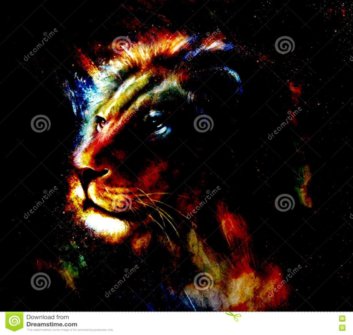 Colorful Lion Wallpapers - Top Free Colorful Lion Backgrounds ...