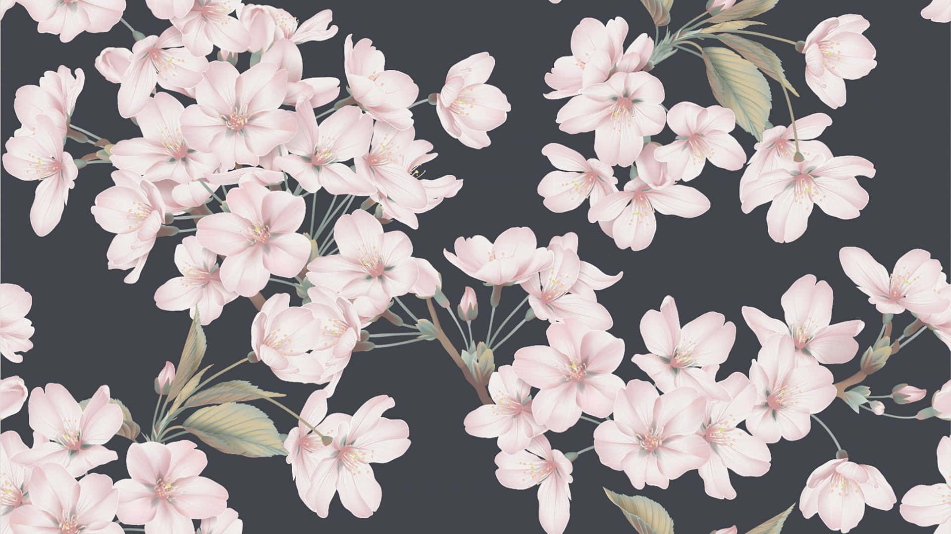 Coquette Flowers Wallpapers - Top Free Coquette Flowers Backgrounds ...