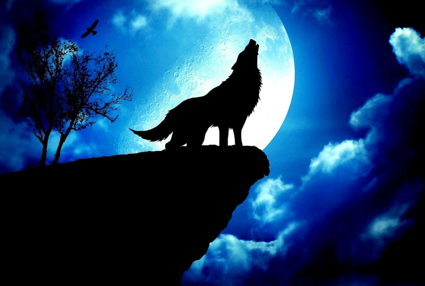 Cute Abstract Wolf Wallpapers - Top Free Cute Abstract Wolf Backgrounds ...