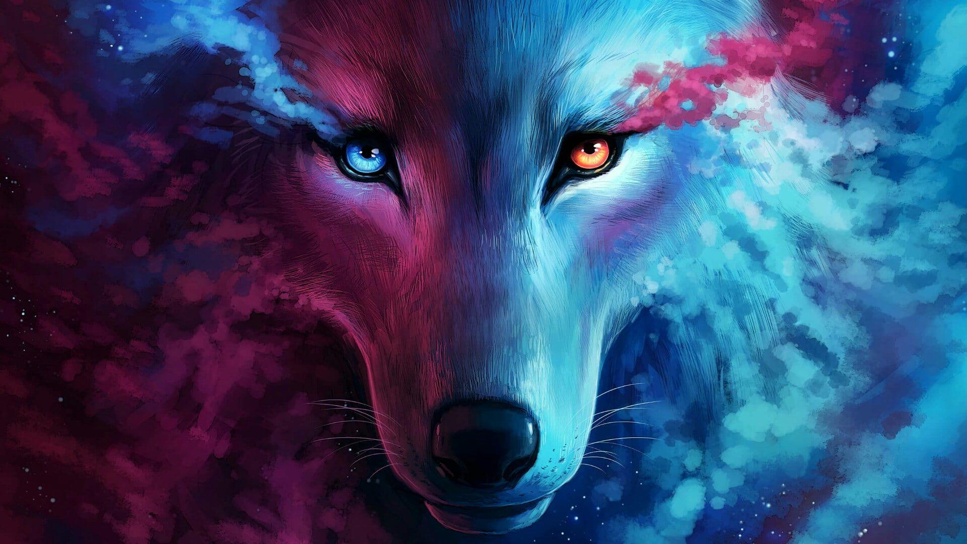 Animal Eyes Abstract Wallpapers - Top Free Animal Eyes Abstract ...