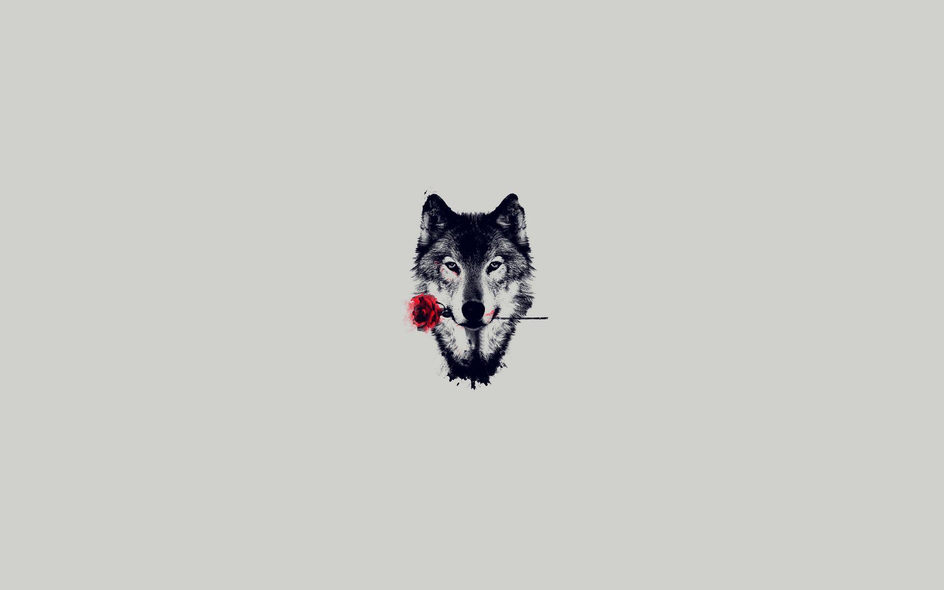 Cute Abstract Wolf Wallpapers - Top Free Cute Abstract Wolf Backgrounds ...
