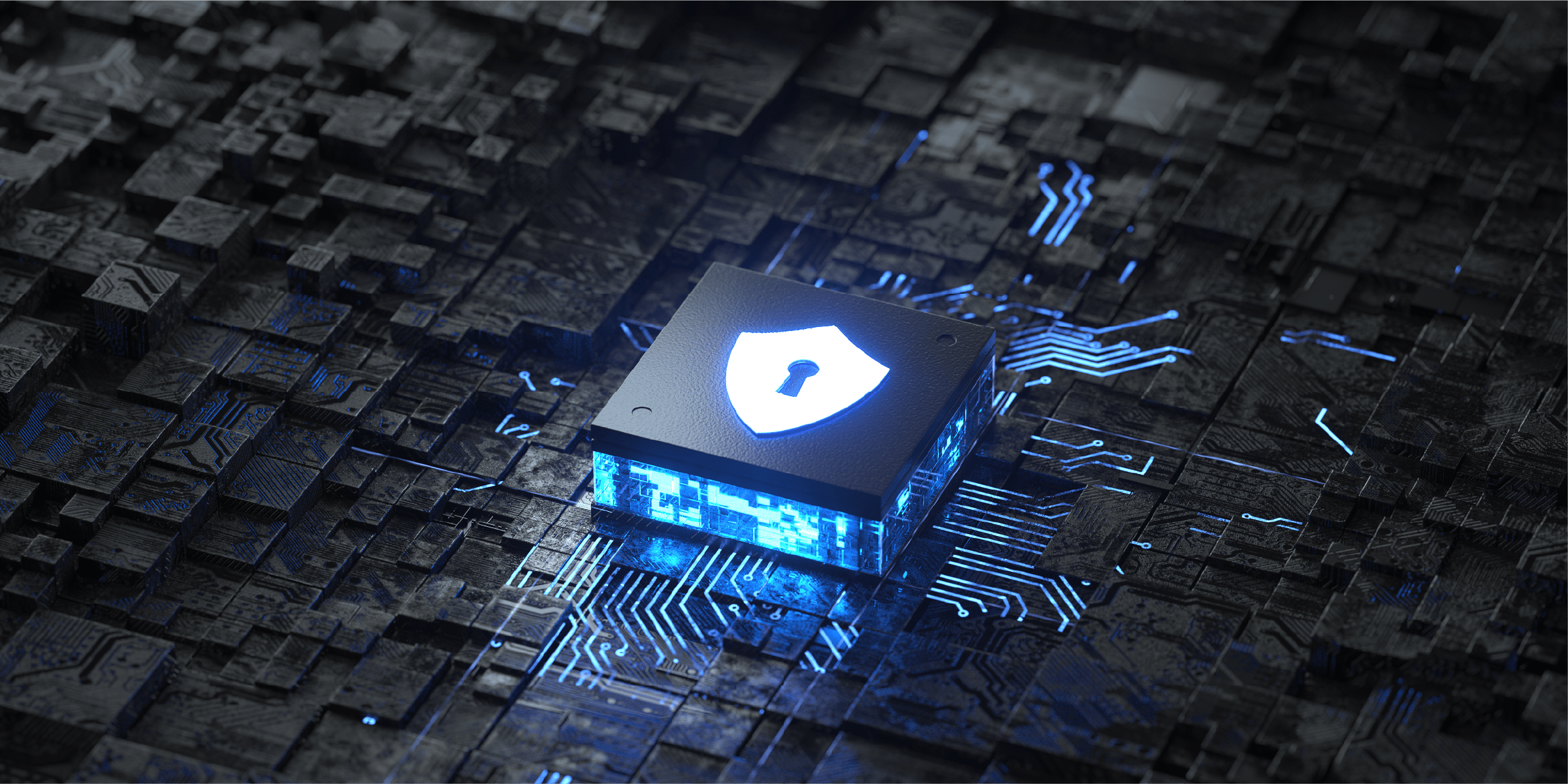 DDos Wallpapers - Top Free DDos Backgrounds - WallpaperAccess