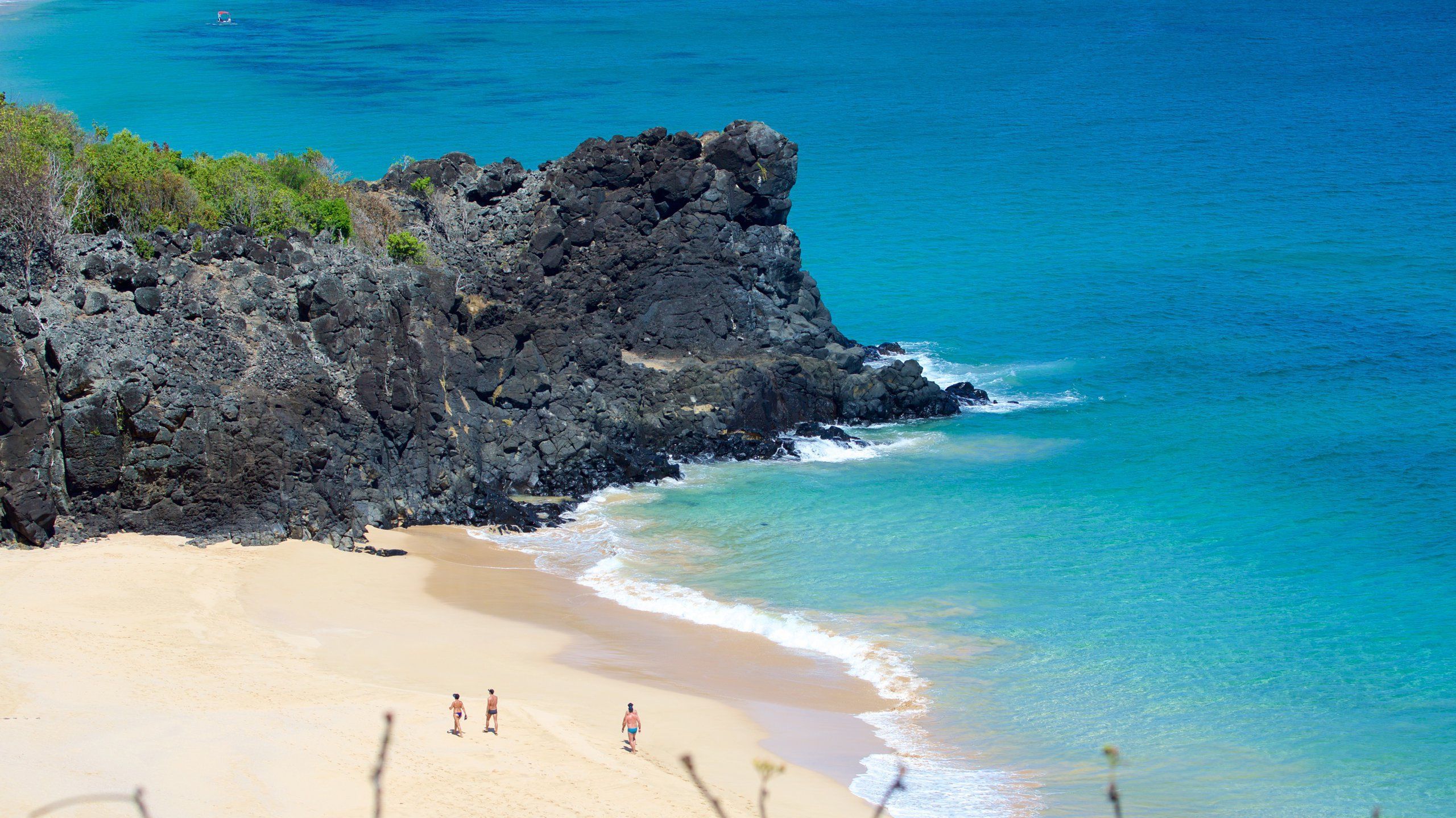 Fernando De Noronha Wallpapers - Top Free Fernando De Noronha ...