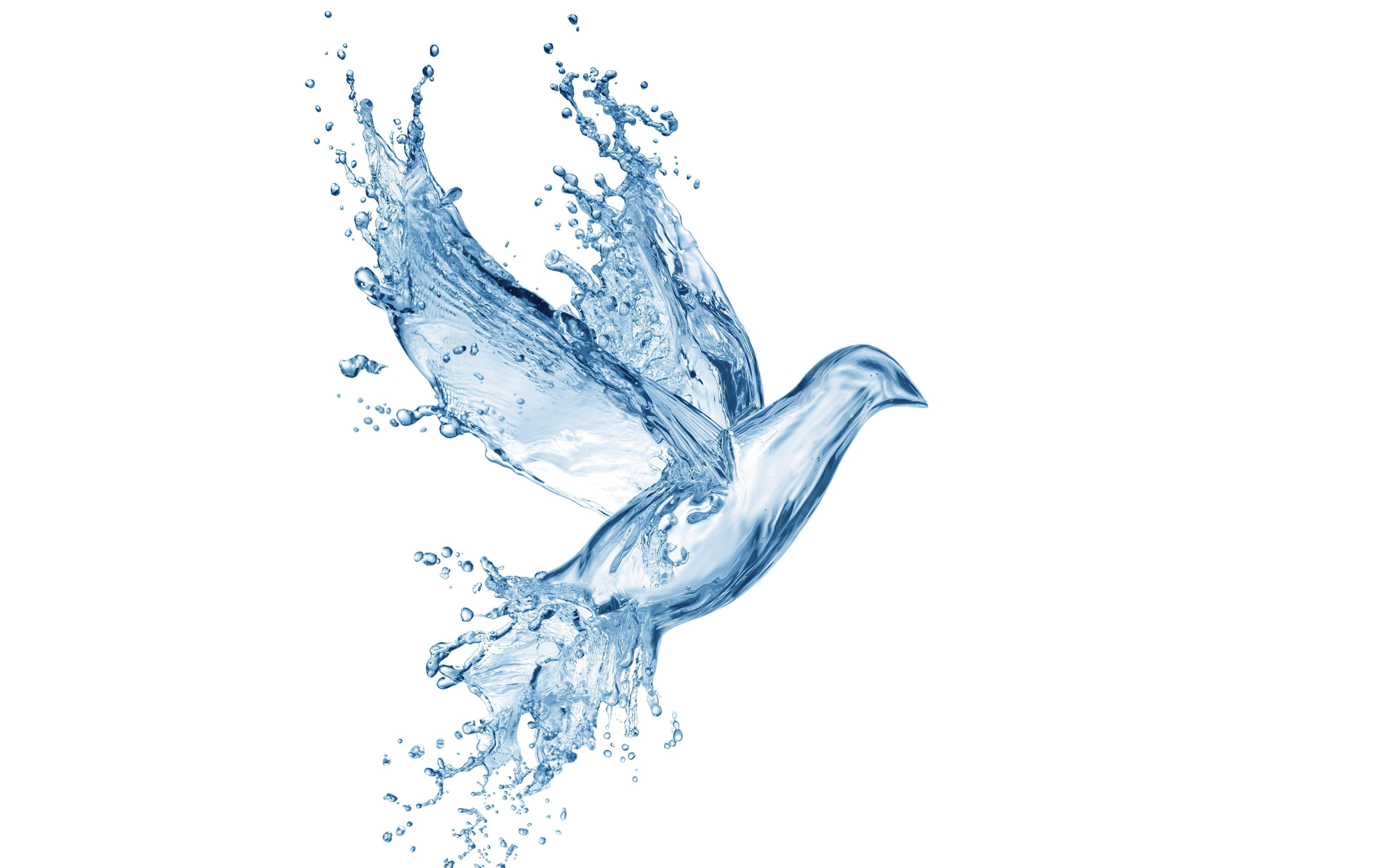 Abstract Bird Wallpapers - Top Free Abstract Bird Backgrounds ...