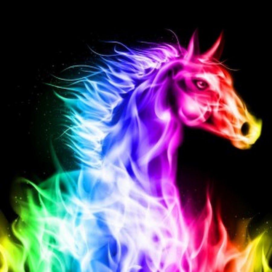 Neon Animal Wallpapers - Top Free Neon Animal Backgrounds - WallpaperAccess