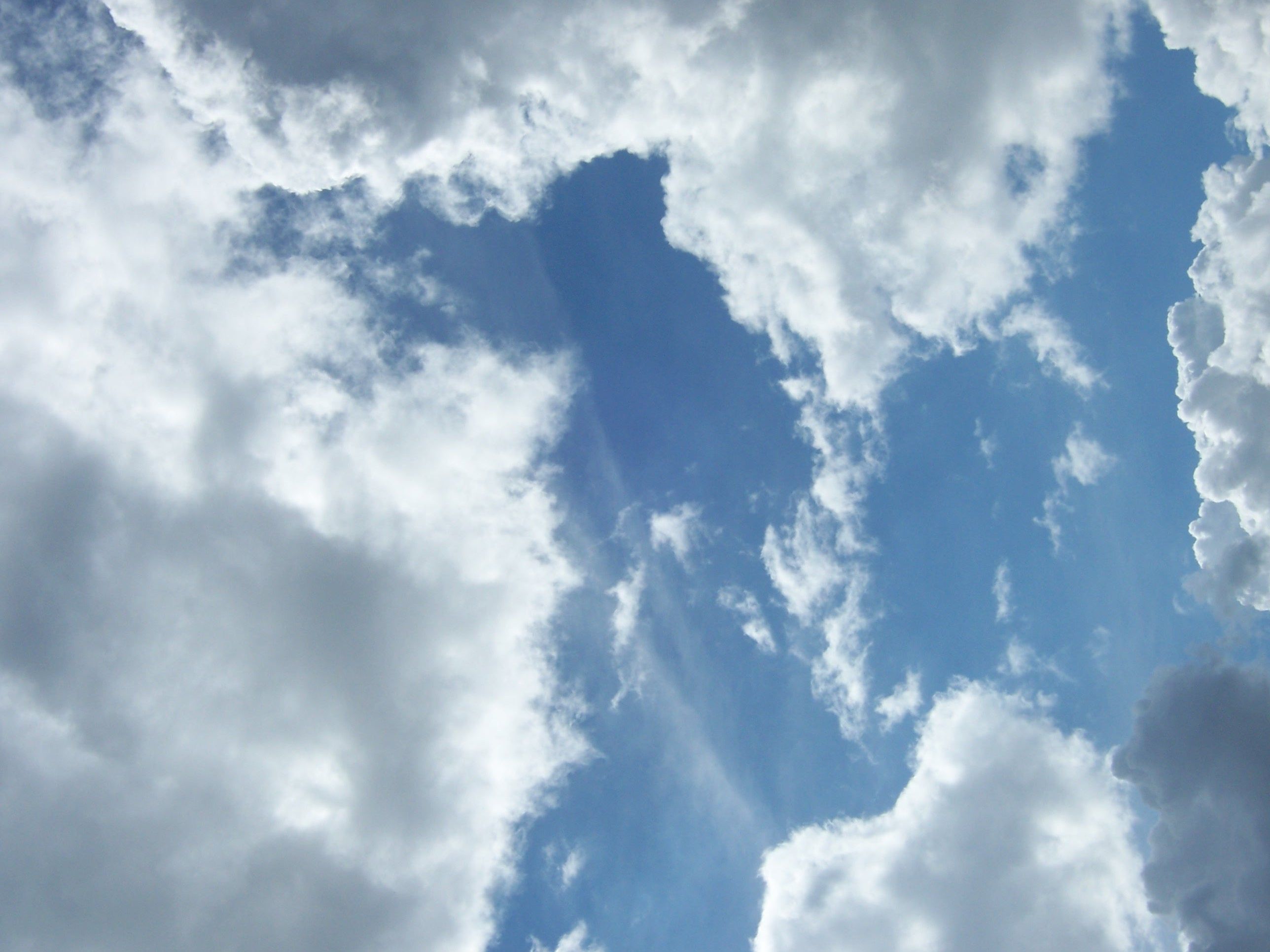 In Loving Memory Wallpapers - Top Free In Loving Memory Backgrounds ...