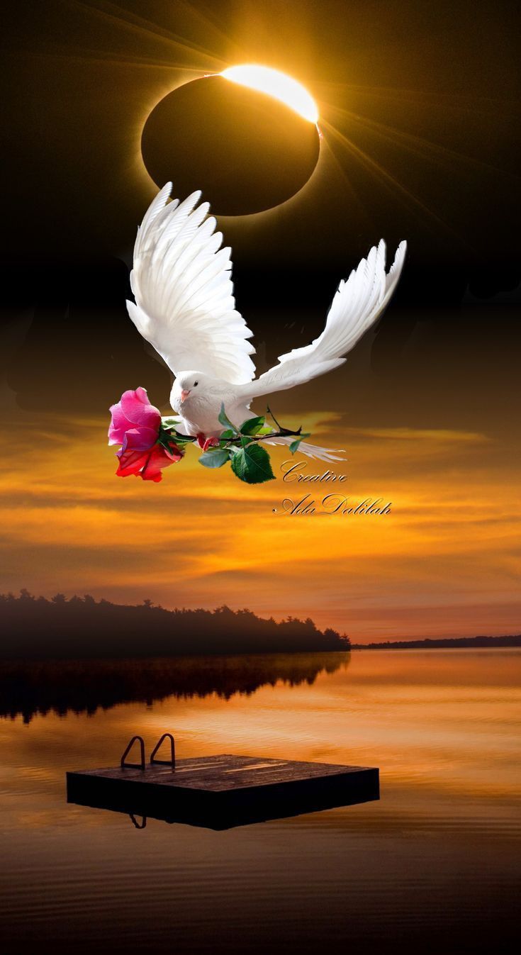 In Loving Memory Wallpapers - Top Free In Loving Memory Backgrounds ...