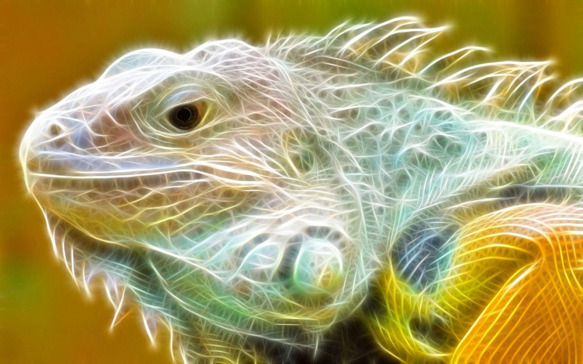 3D Abstract Animal Wallpapers - Top Free 3D Abstract Animal Backgrounds ...