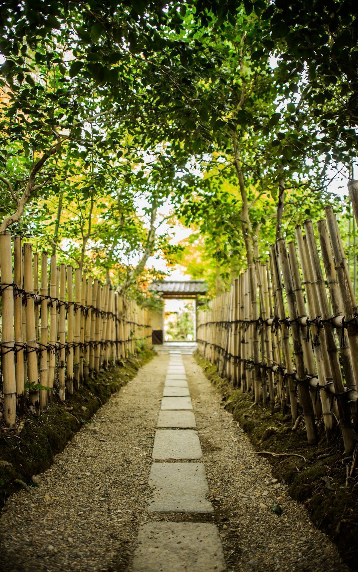 Japan Vertical Wallpapers - Top Free Japan Vertical Backgrounds ...