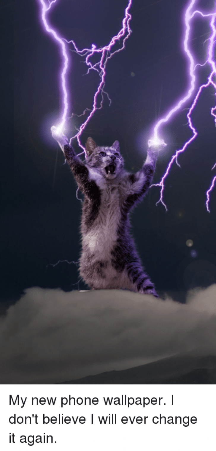 Funniest Phone Wallpapers - Top Free Funniest Phone Backgrounds ...