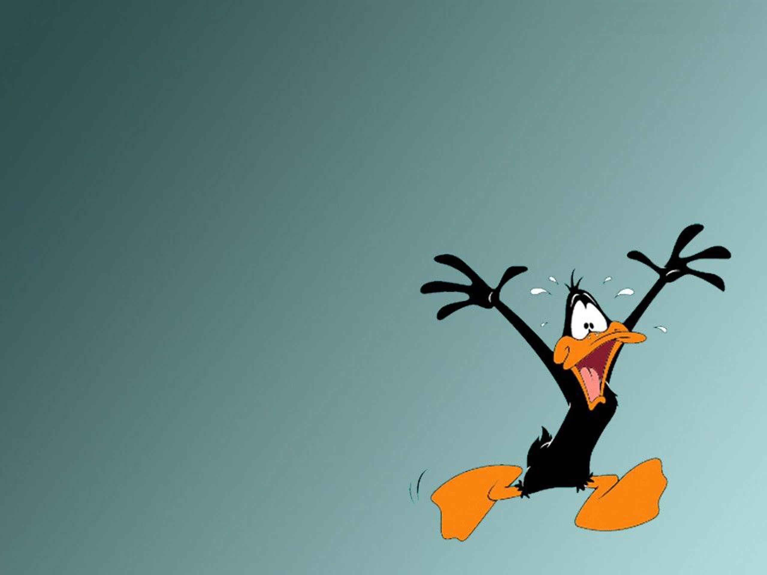 Looney Toons Wallpapers Top Free Looney Toons Backgrounds