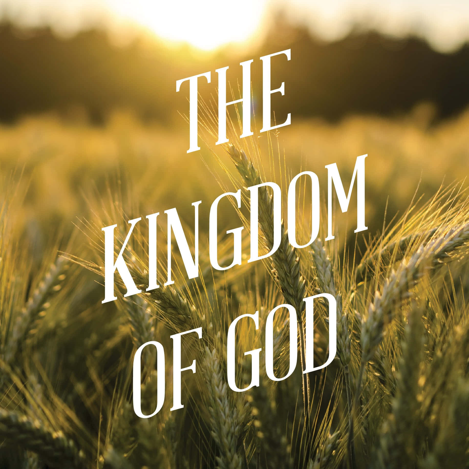 Kingdom of God Wallpapers - Top Free Kingdom of God Backgrounds ...