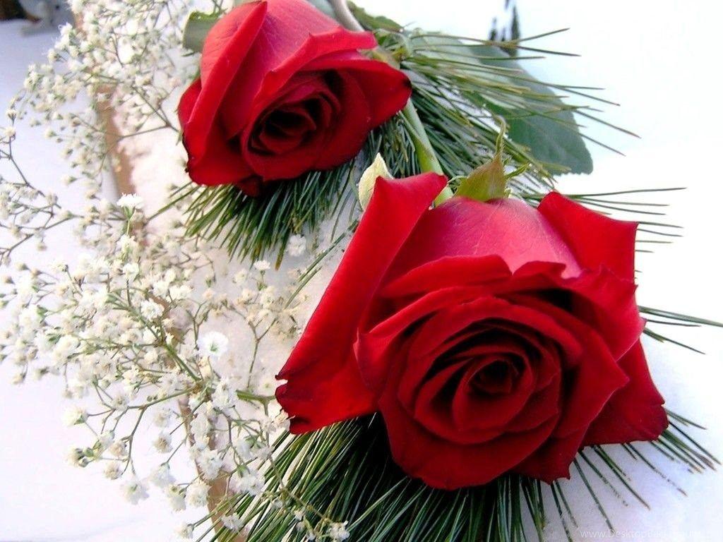 Valentine Flowers Wallpapers - Top Free Valentine Flowers Backgrounds ...