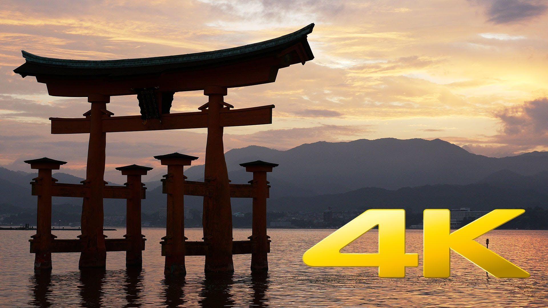 Torii Gate 4K Wallpapers - Top Free Torii Gate 4K Backgrounds ...