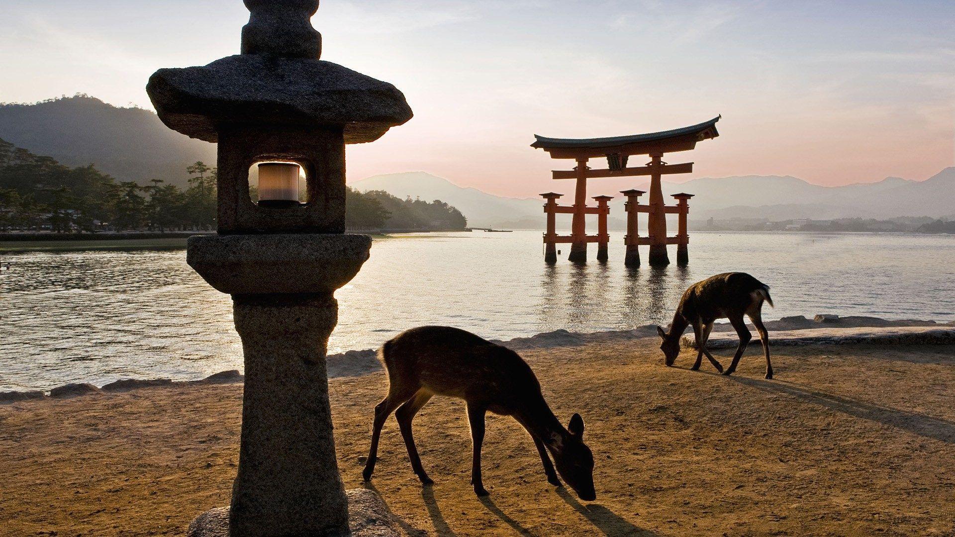 Torii Gate 4K Wallpapers - Top Free Torii Gate 4K Backgrounds ...