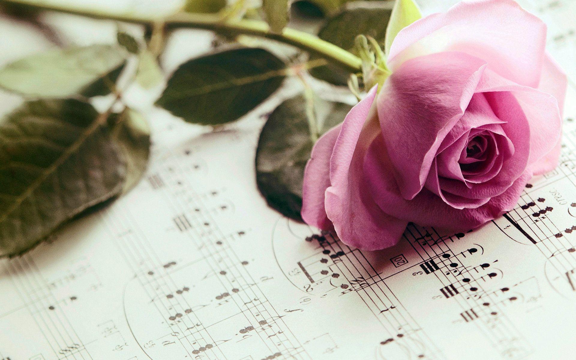 Elegant Musical Wallpapers - Top Free Elegant Musical Backgrounds ...