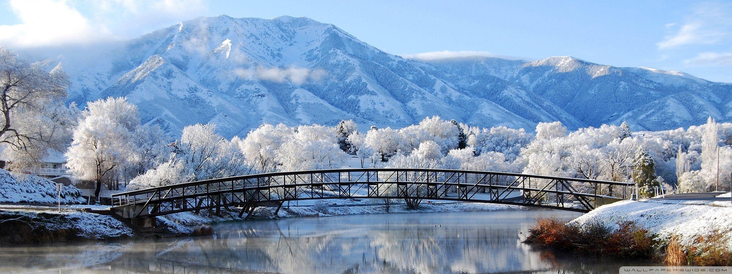 Winter Scenes Wallpapers - Top Free Winter Scenes Backgrounds ...