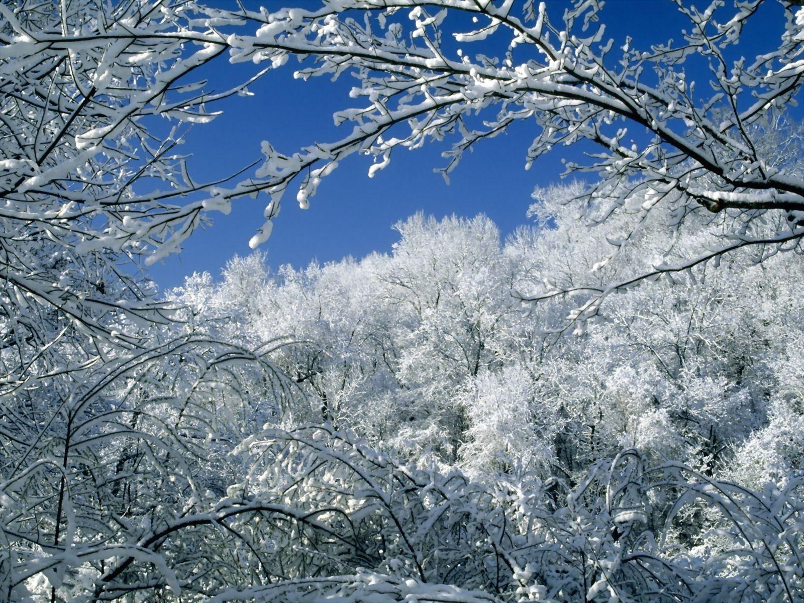 Snow Nature Wallpapers - Top Free Snow Nature Backgrounds - WallpaperAccess
