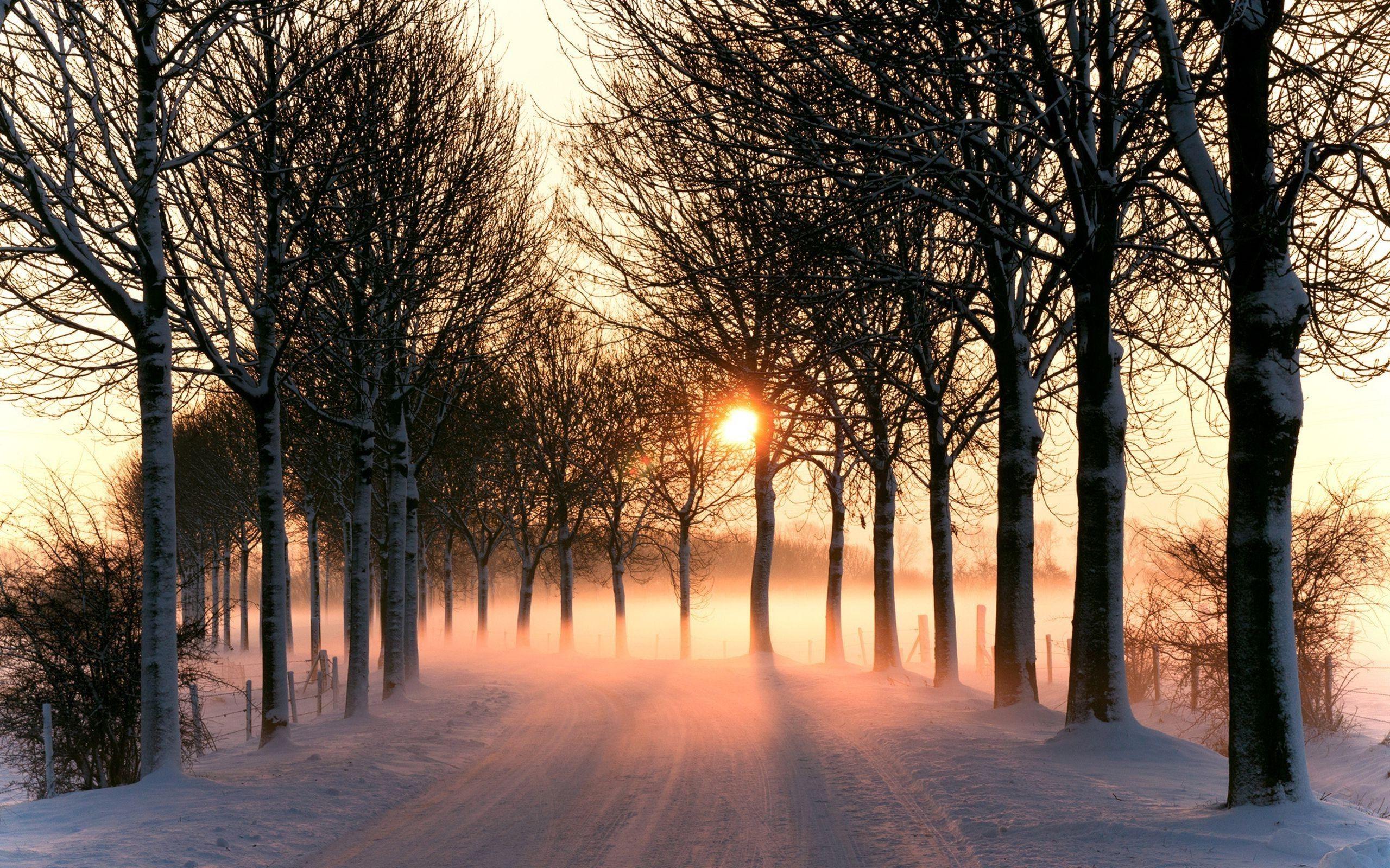 Winter Sunrise Nature Wallpapers - Top Free Winter Sunrise Nature ...