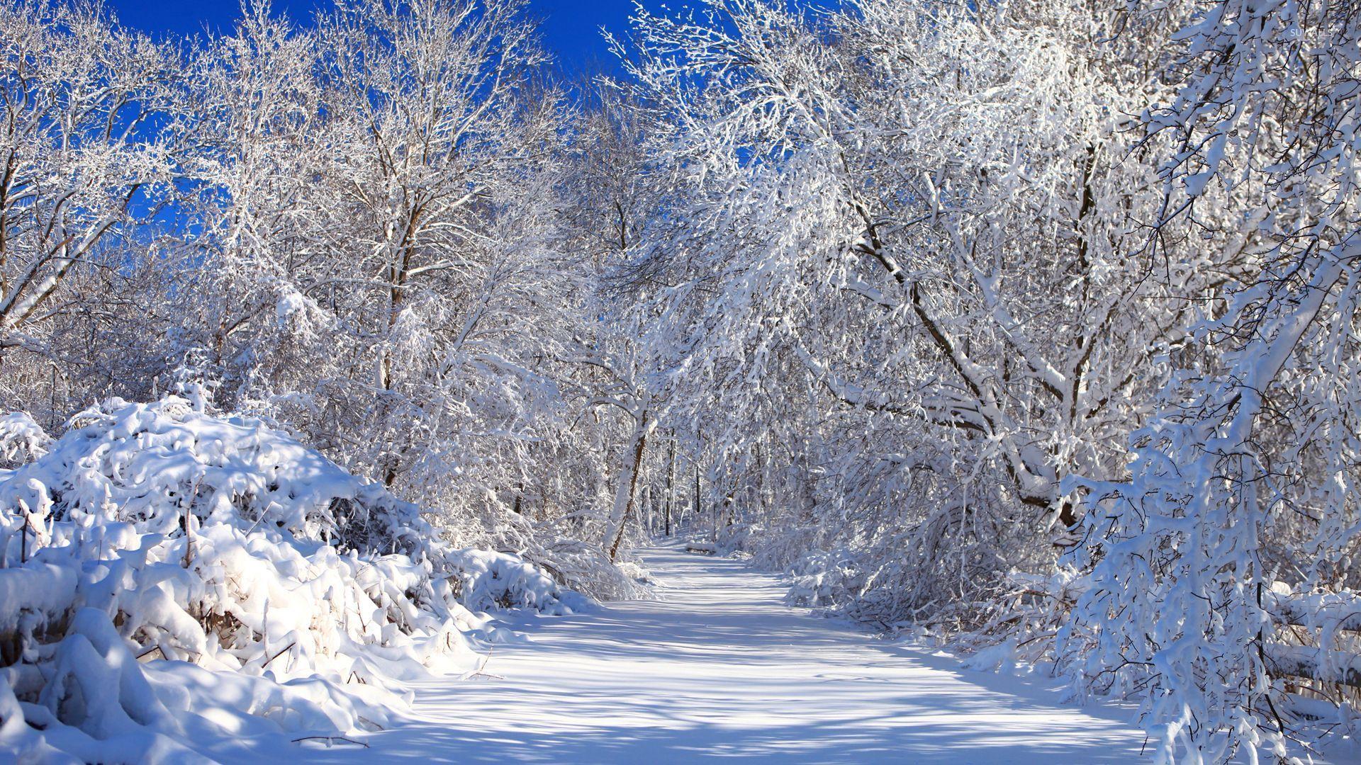 Snow Nature Wallpapers - Top Free Snow Nature Backgrounds - WallpaperAccess