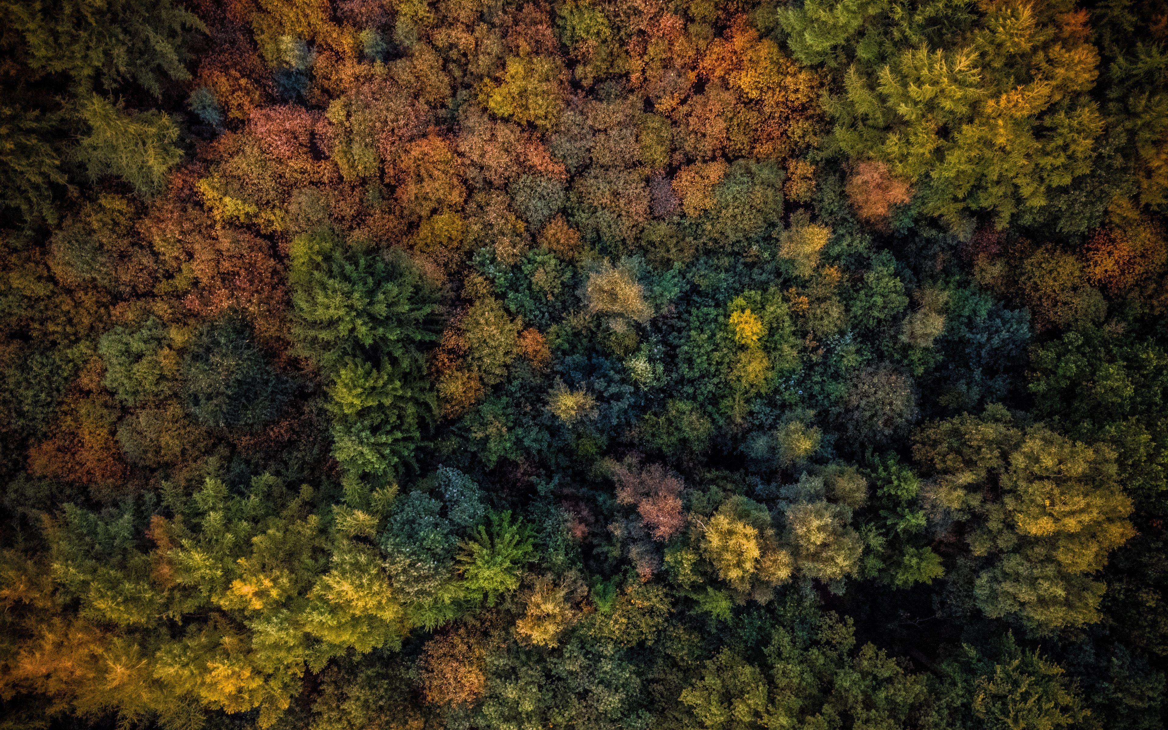 4K Ultra HD Autumn Wallpapers - Top Free 4K Ultra HD Autumn Backgrounds ...