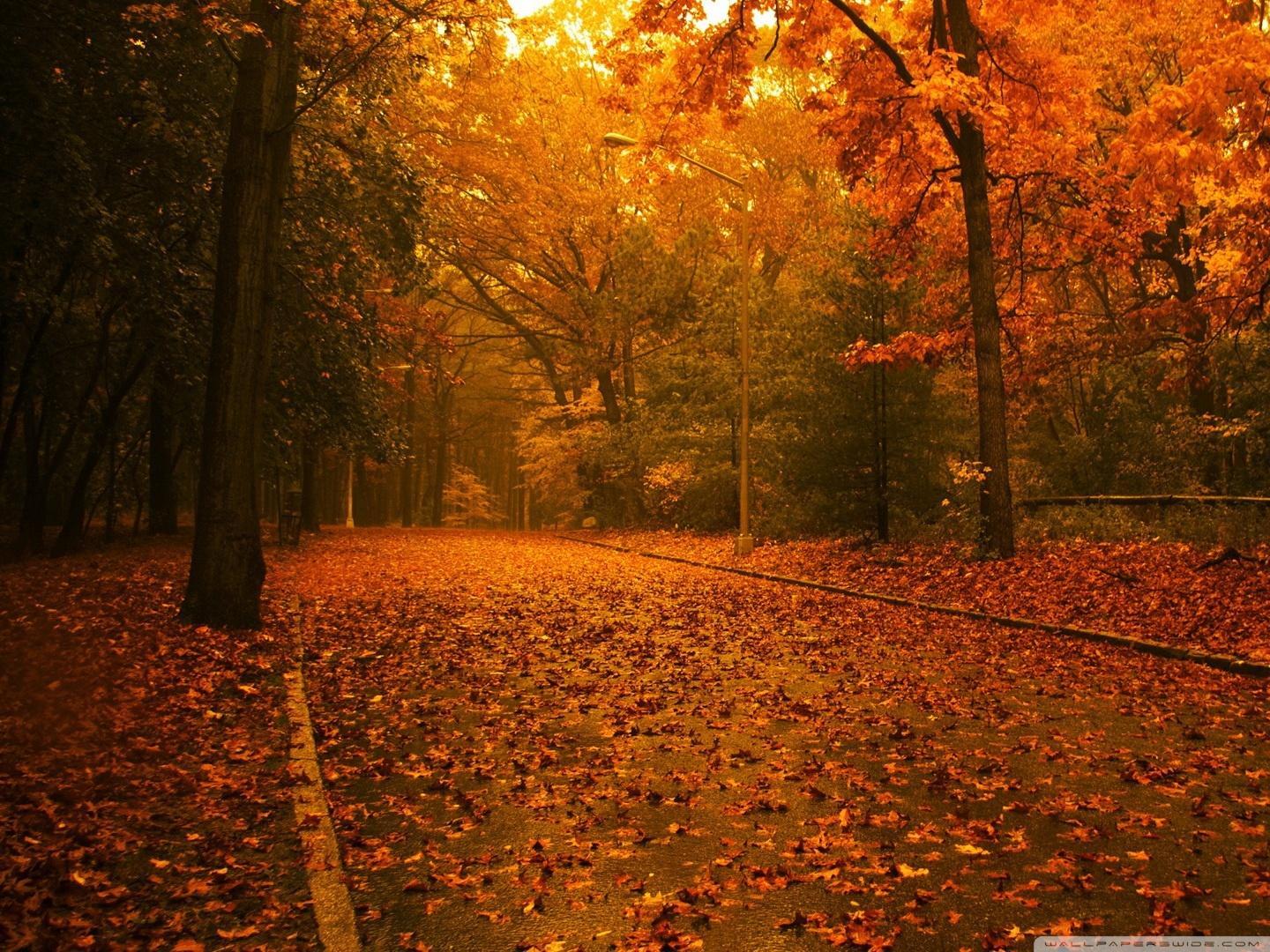 Fall Scenes Wallpapers - Top Free Fall Scenes Backgrounds - WallpaperAccess