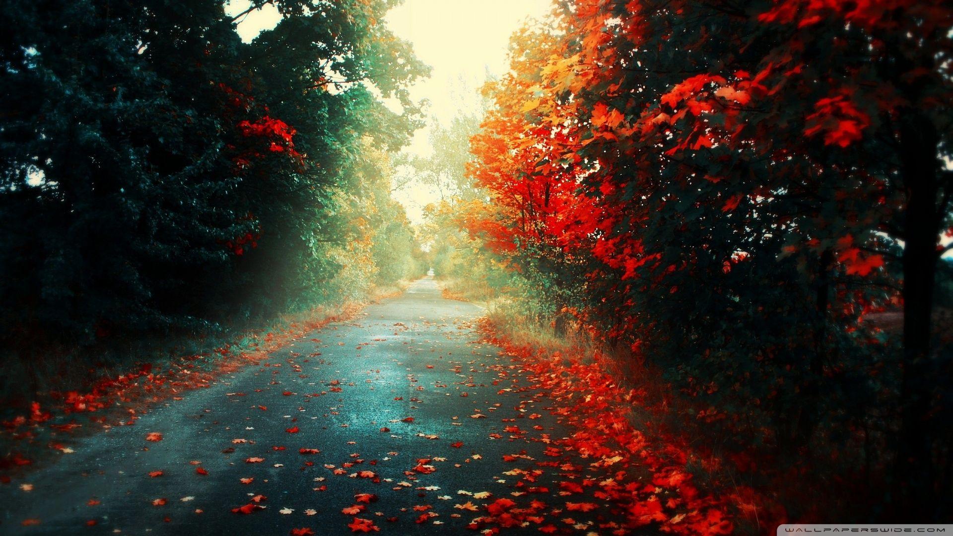 Red Nature Wallpapers - Top Free Red Nature Backgrounds - WallpaperAccess