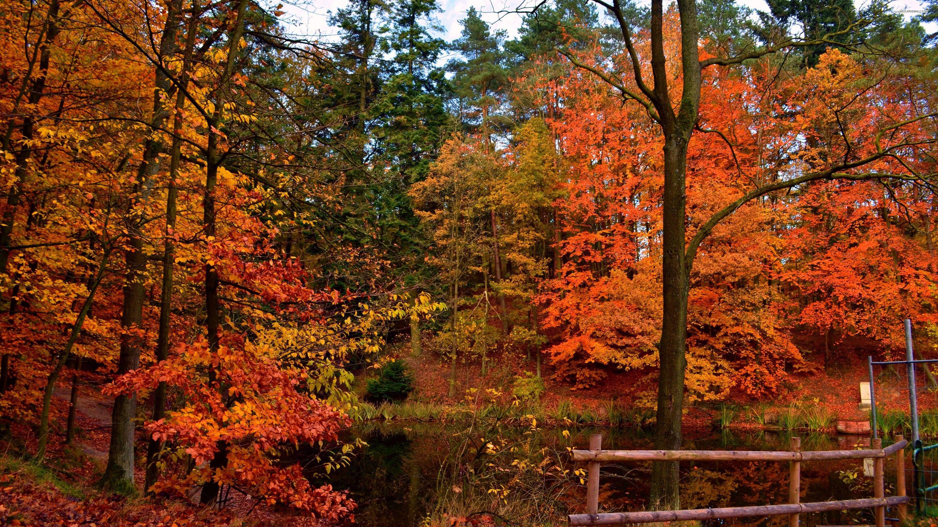 Fall Scenes Wallpapers - Top Free Fall Scenes Backgrounds - WallpaperAccess