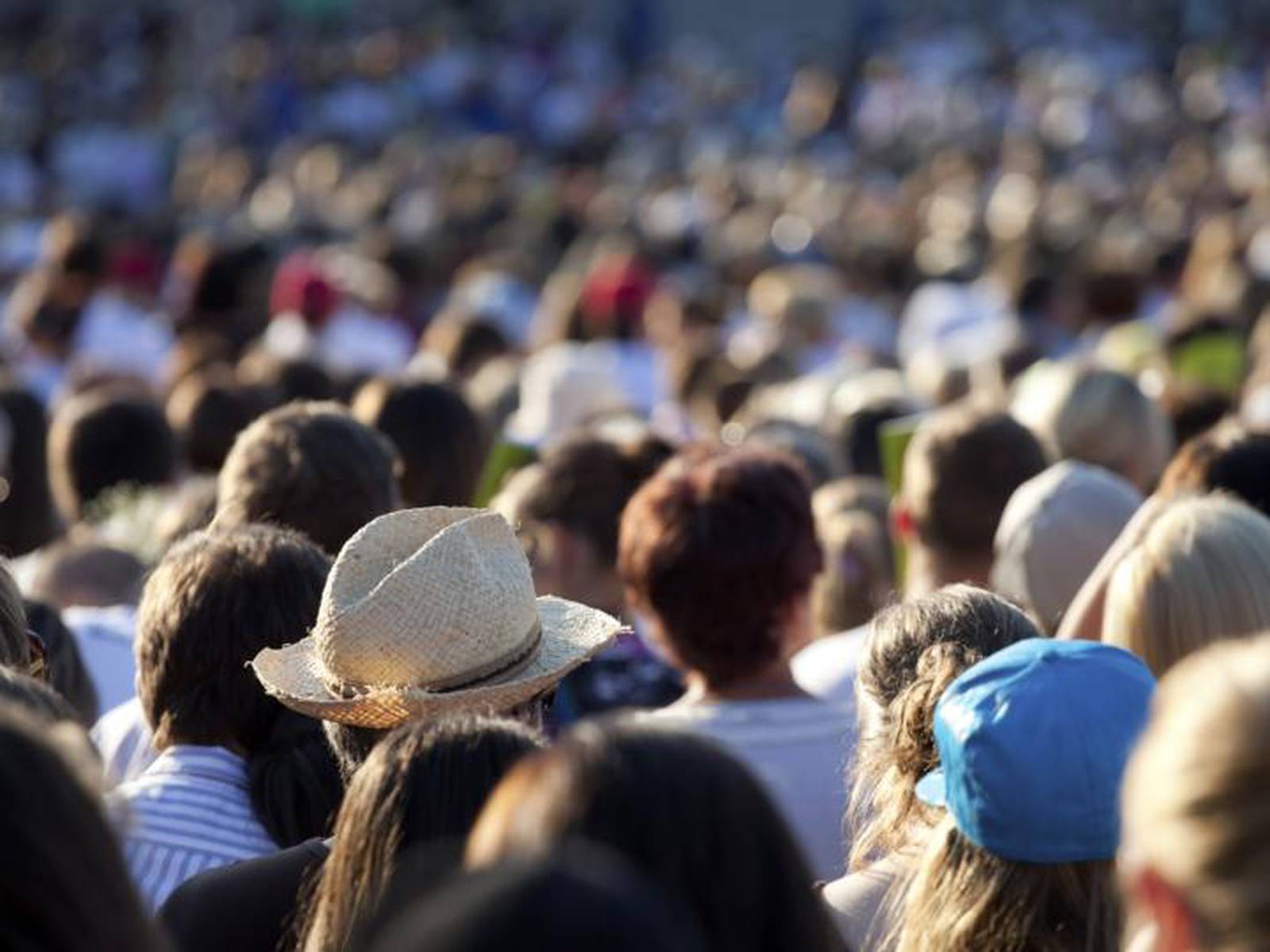 OVERPOPULATION Wallpapers - Top Free OVERPOPULATION Backgrounds ...