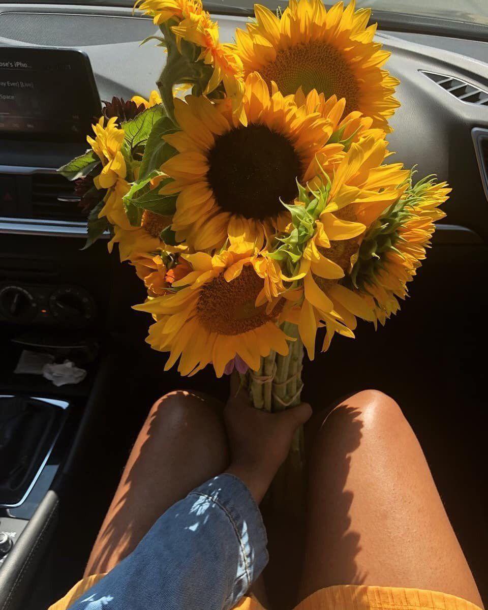 VSCO Sunflower Wallpapers - Top Free VSCO Sunflower Backgrounds ...