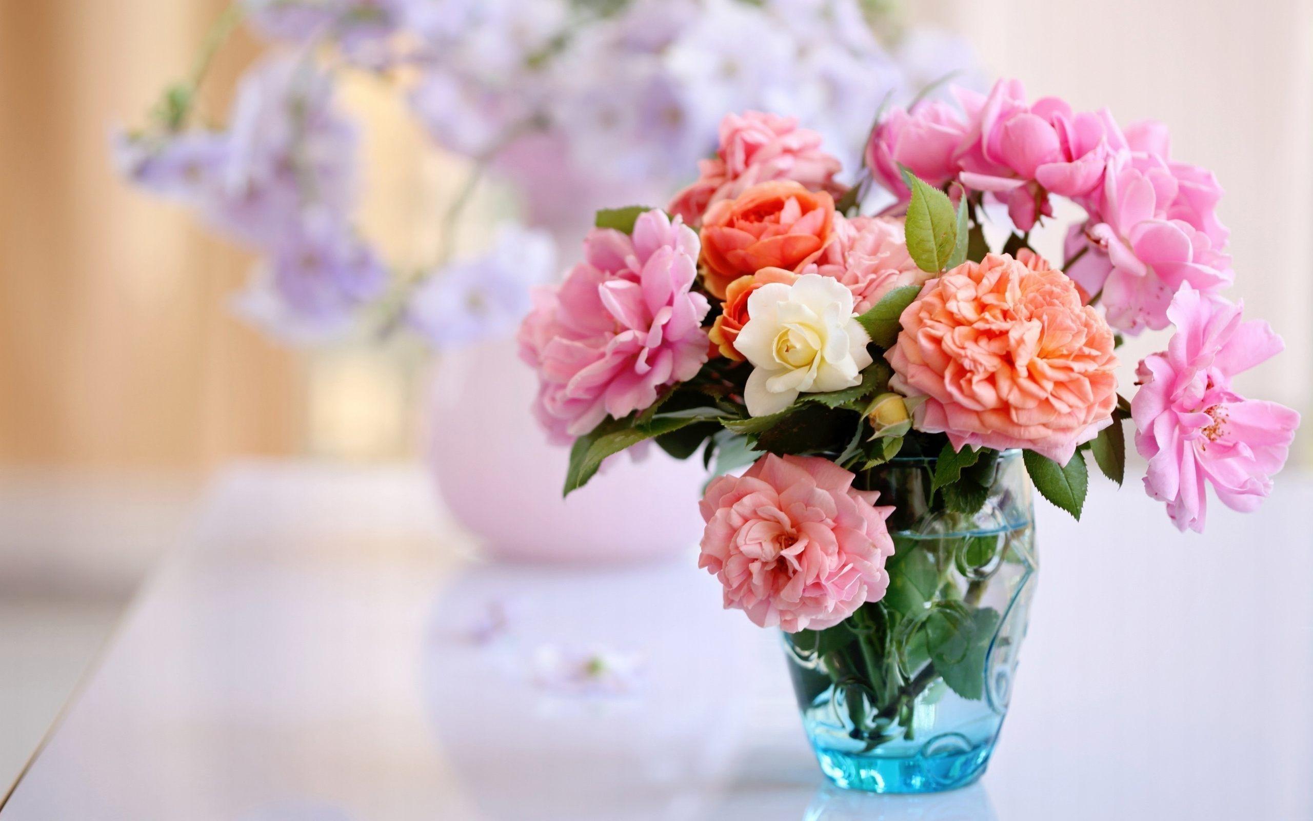 Flowers Desktop Wallpapers Top Free Flowers Desktop Backgrounds