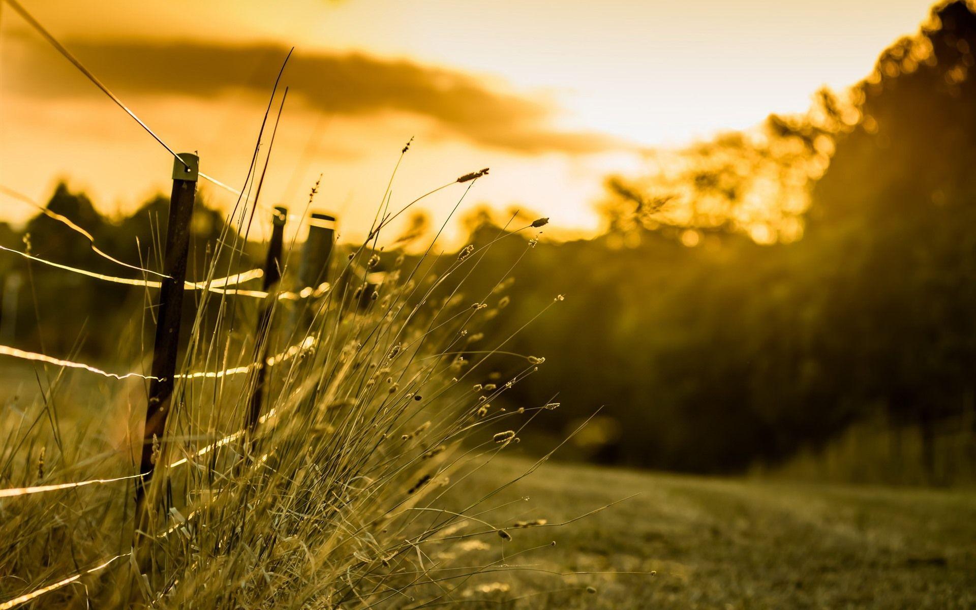 Morning Sunshine Wallpapers - Top Free Morning Sunshine Backgrounds ...