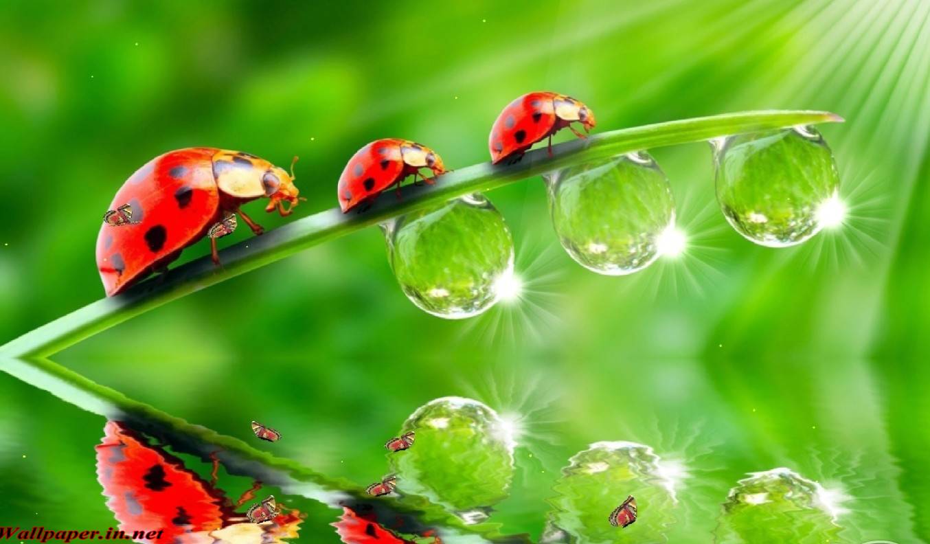 Moving Water Wallpapers - Top Free Moving Water Backgrounds ...