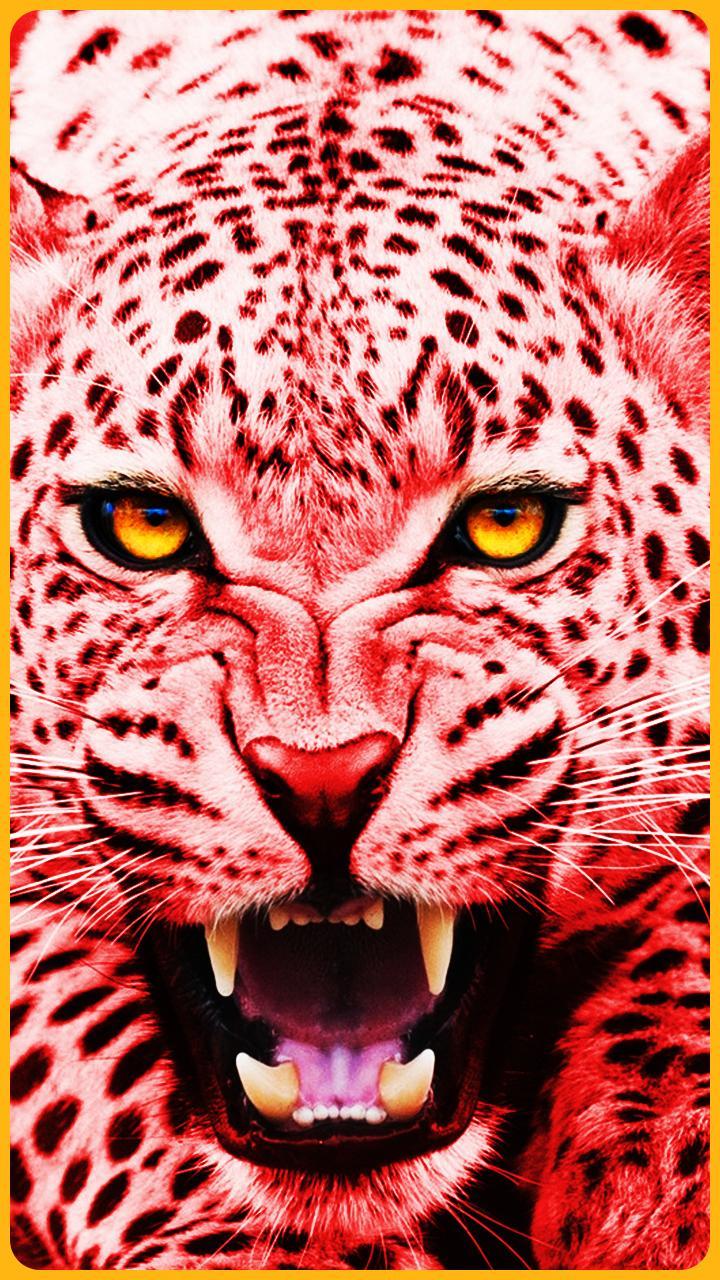 Red Tiger Wallpapers - Top Free Red Tiger Backgrounds - WallpaperAccess