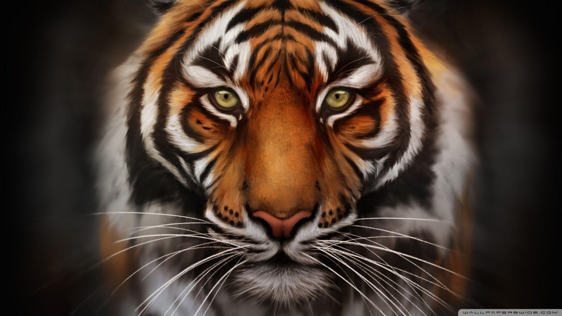 Tiger Desktop Wallpapers - Top Free Tiger Desktop Backgrounds ...
