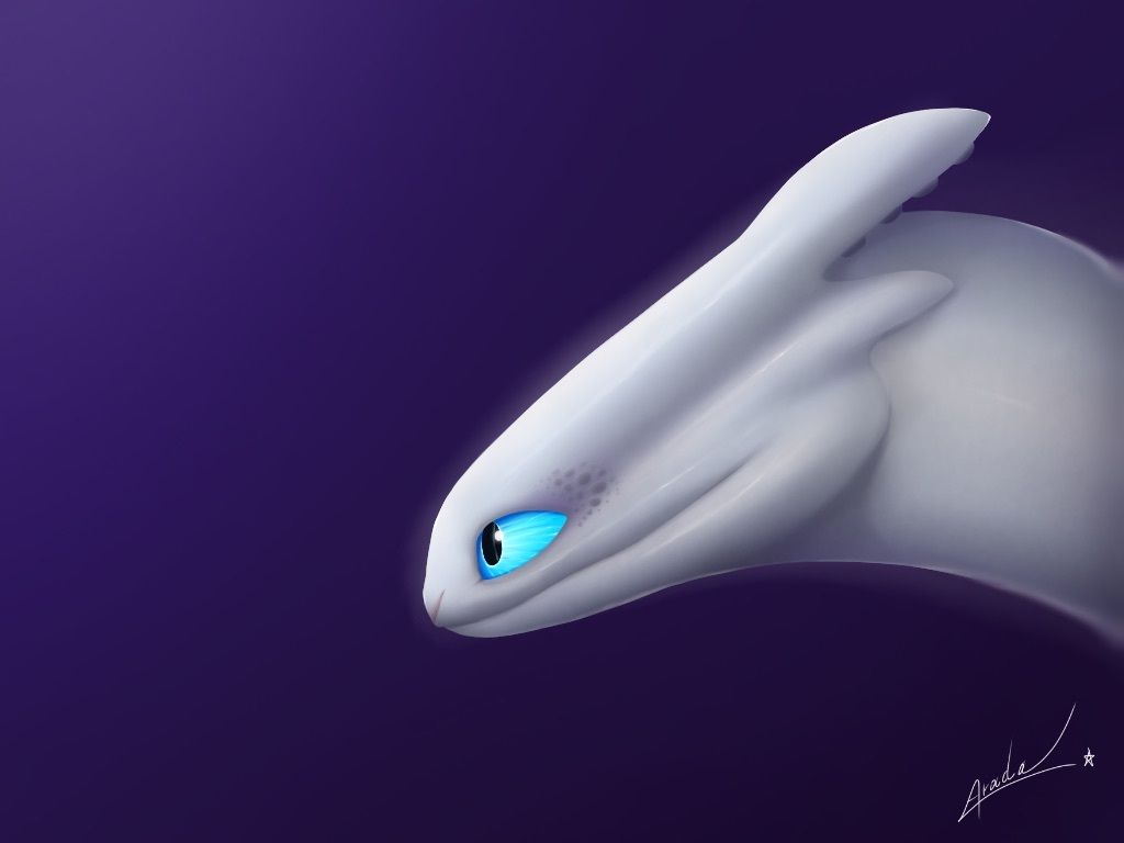 Night Fury and Light Fury Wallpapers - Top Free Night Fury and Light ...