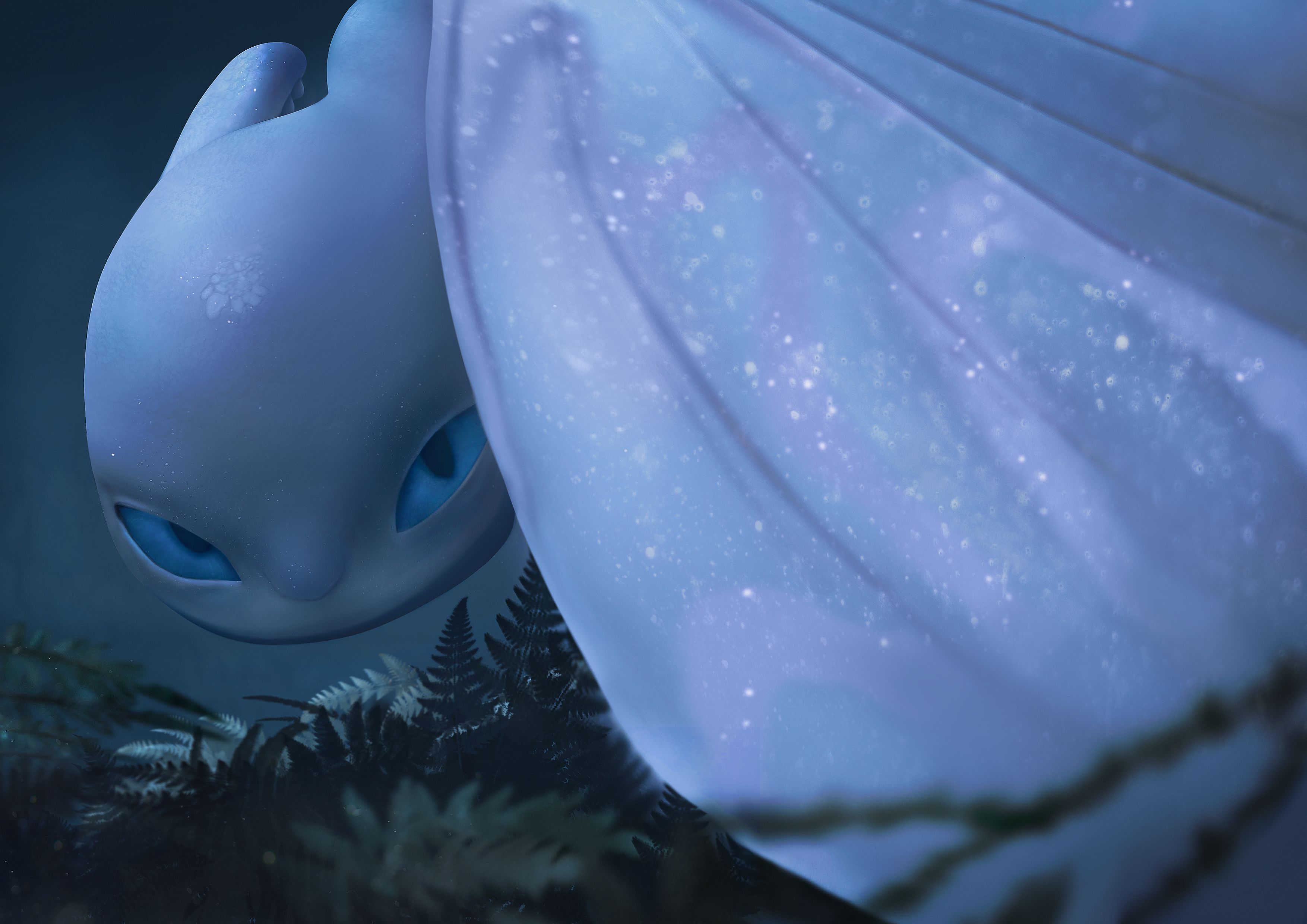 Night Fury and Light Fury Wallpapers - Top Free Night Fury and Light ...