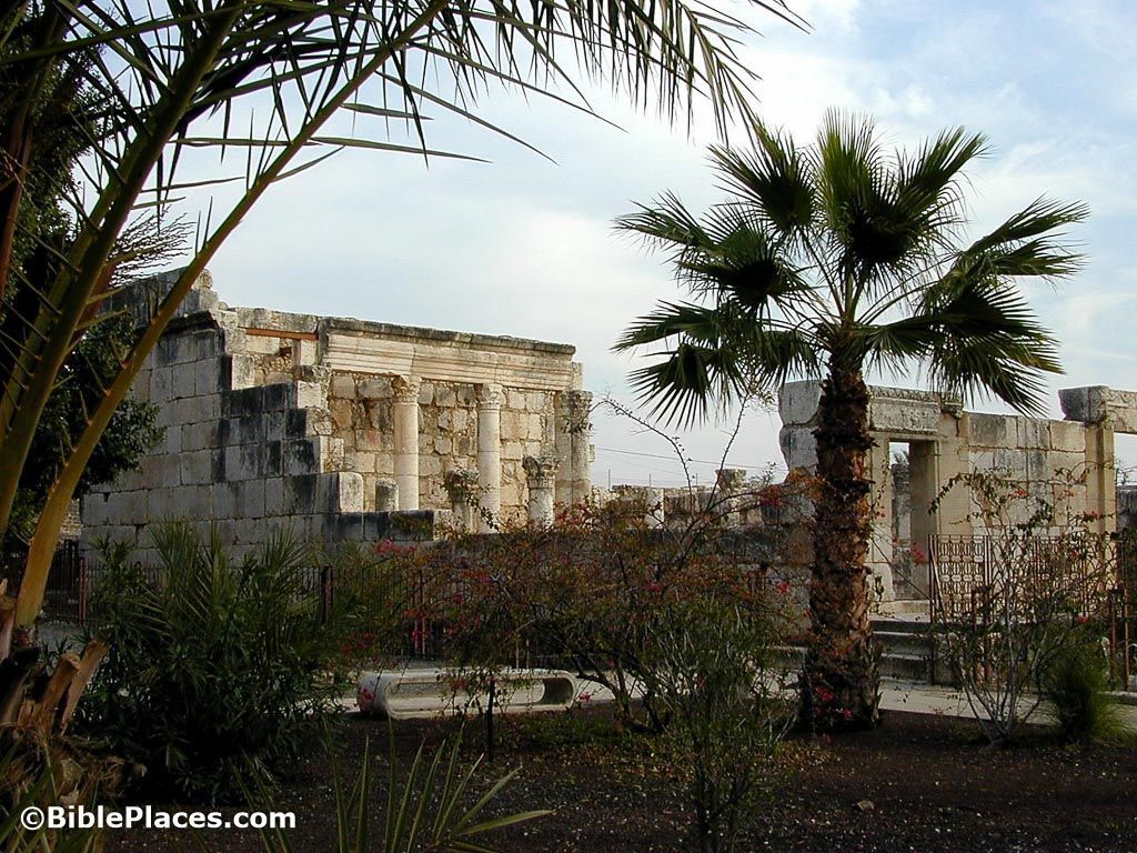 Capernaum Wallpapers - Top Free Capernaum Backgrounds - WallpaperAccess