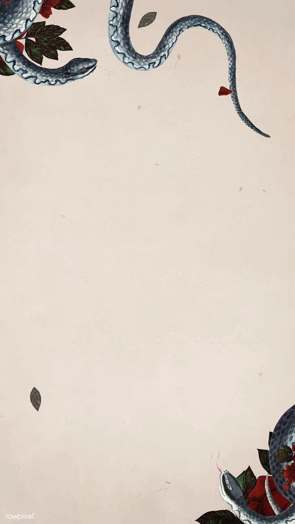 Snake Aesthetics Wallpapers - Top Free Snake Aesthetics Backgrounds ...