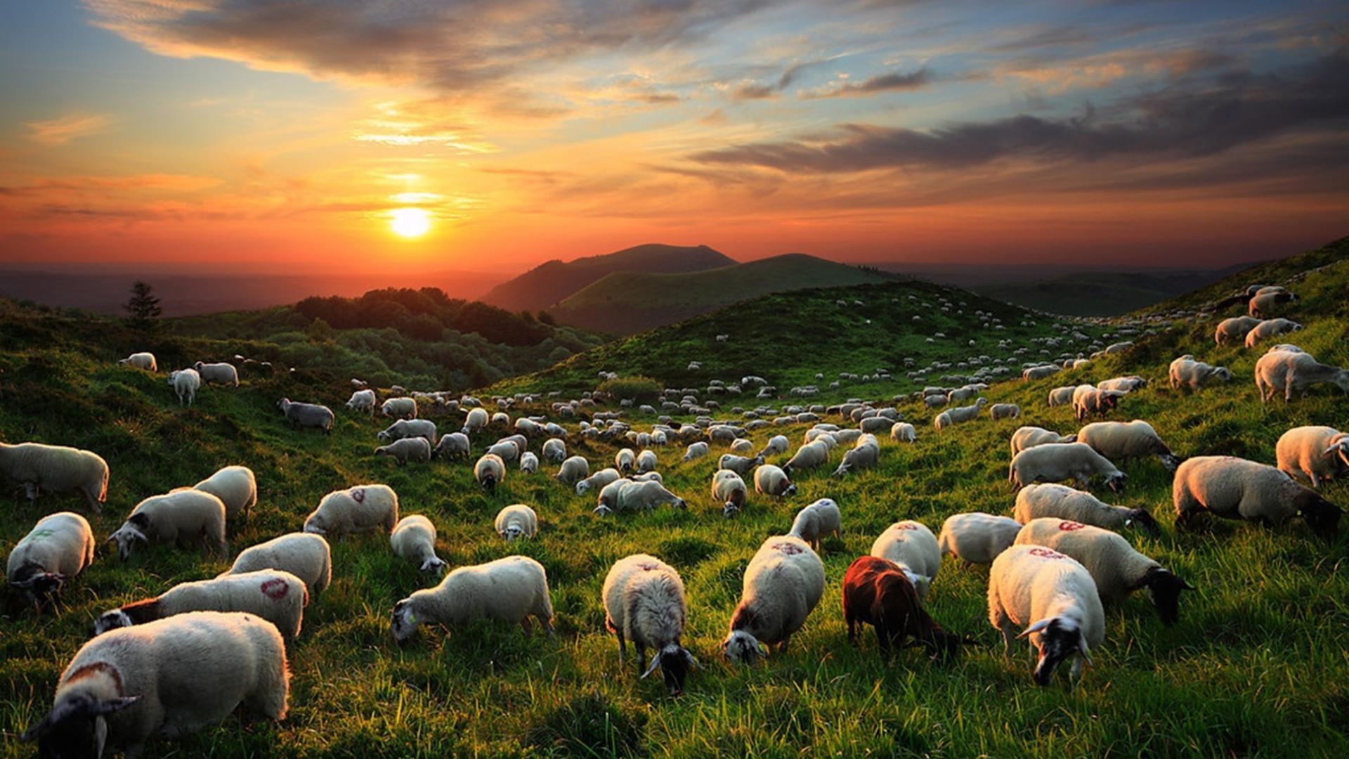 France Nature Wallpapers - Top Free France Nature Backgrounds ...