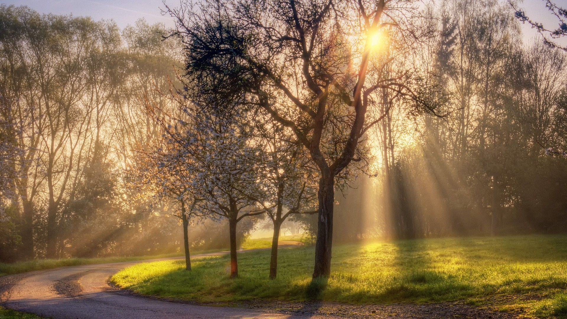 July Nature Wallpapers - Top Free July Nature Backgrounds - WallpaperAccess