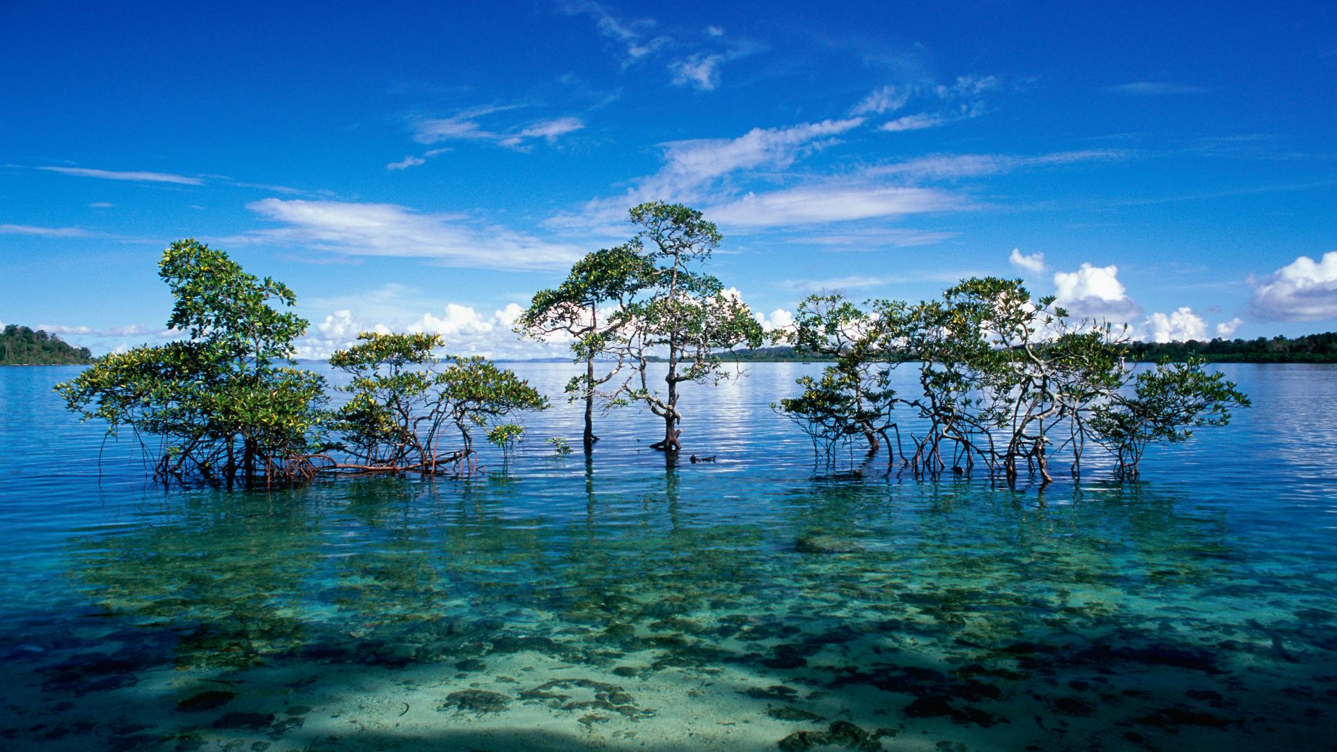 July Nature Wallpapers - Top Free July Nature Backgrounds - WallpaperAccess