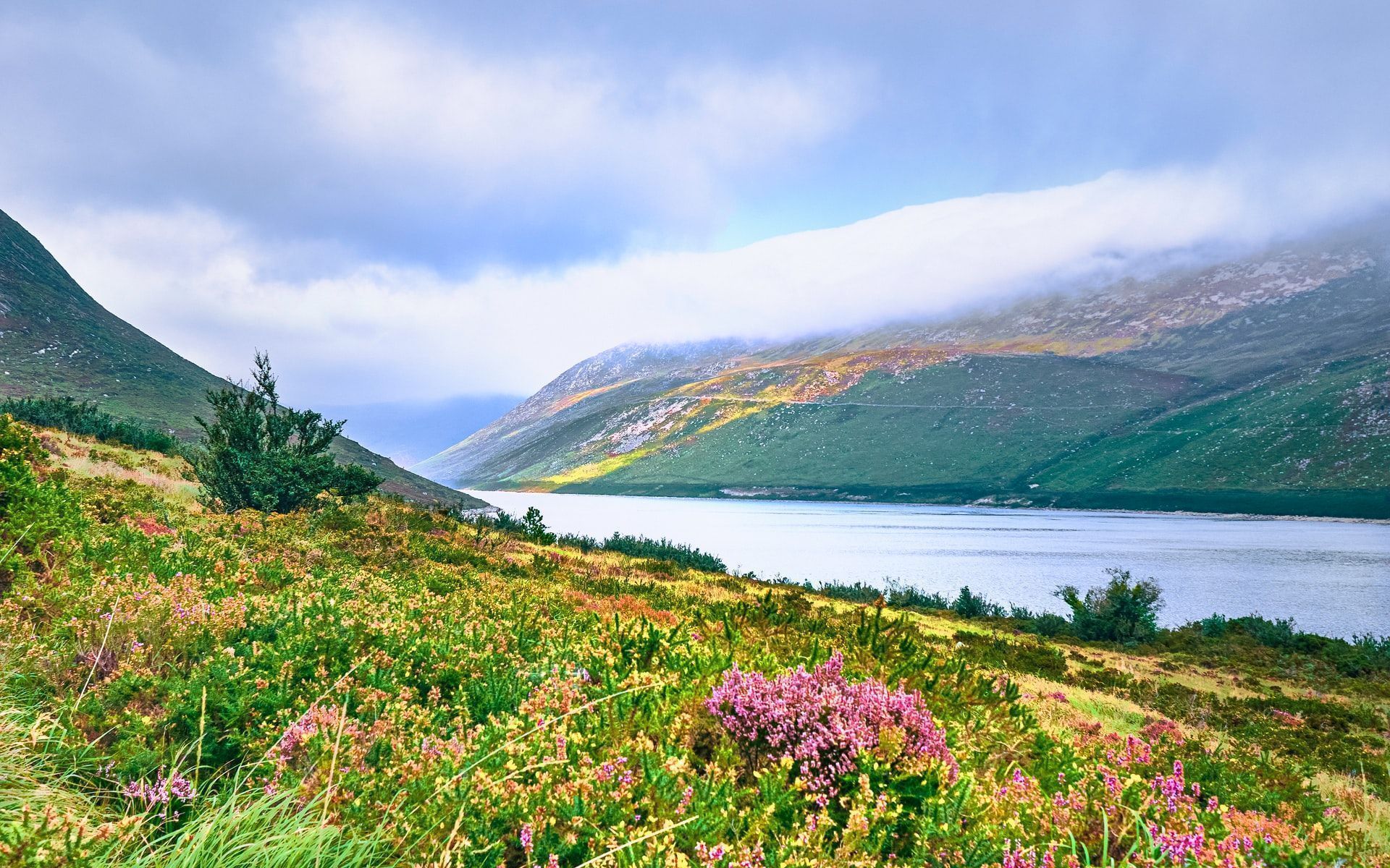 July Nature Wallpapers - Top Free July Nature Backgrounds - WallpaperAccess
